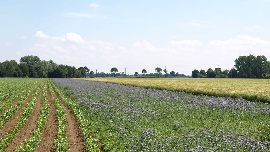 Nordrhein-Westfalen | ISIP