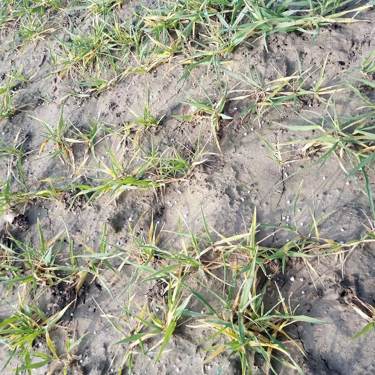 Nordrhein-Westfalen | ISIP