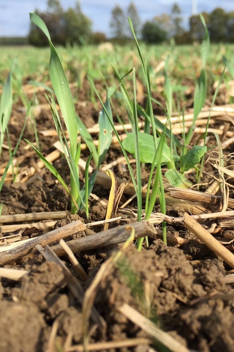 Nordrhein-Westfalen | ISIP